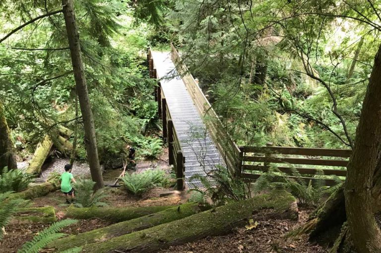 A Runner's Guide to Mercer Island - My Mercer Island My Mercer Island