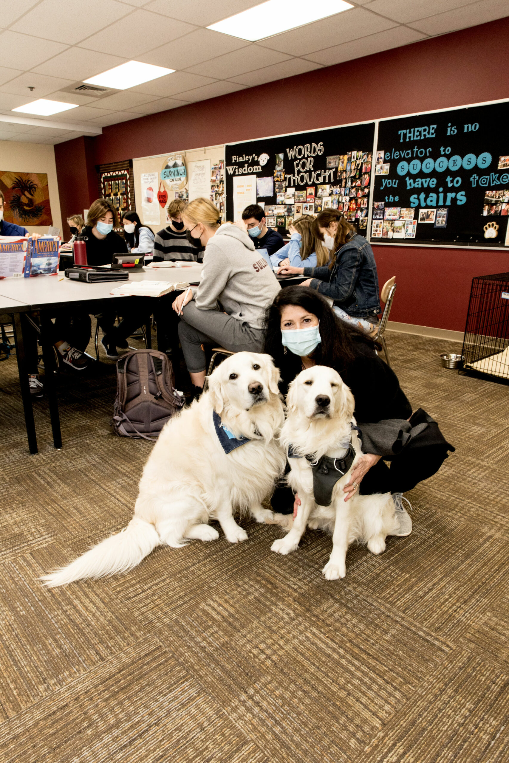 High school therapy dogs provide stress relief and snuggles - My Mercer ...