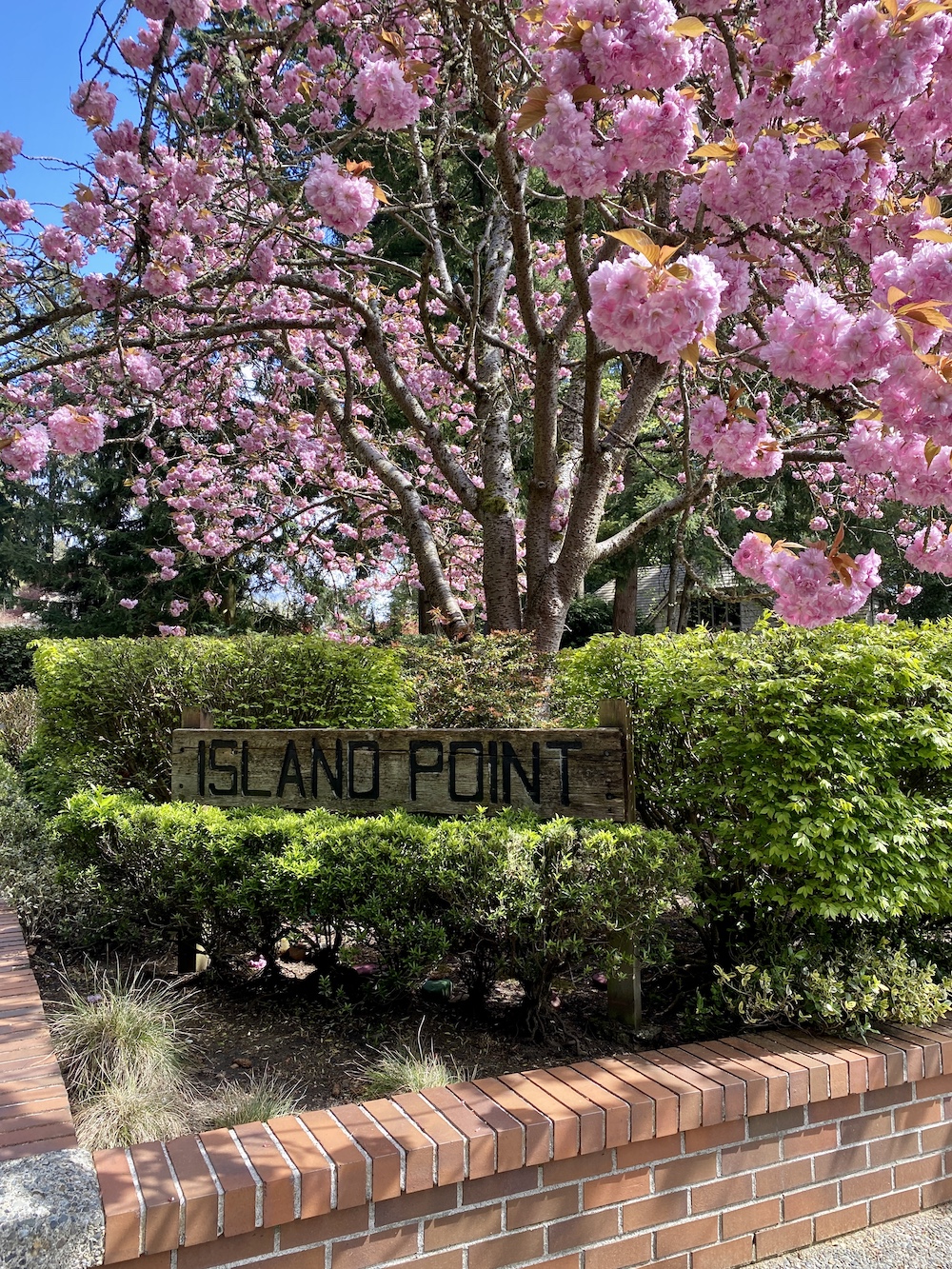 Island Point - My Mercer Island My Mercer Island